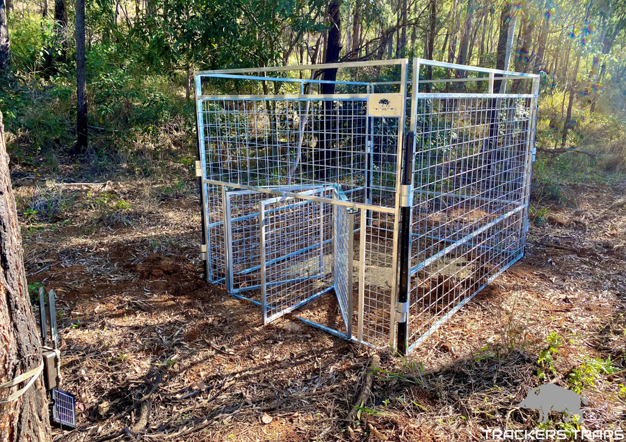 Standard Panel Trap – Trackers Traps